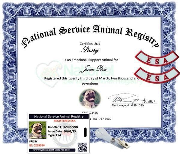 Emotional Support Animal Certificate Sites unimi it