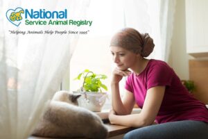 Everything You Need to Know about Emotional Support Cats - NSARCO