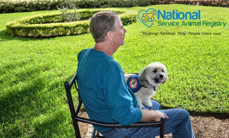 What You Should Know about Leash Laws and Service Dogs - NSARCO