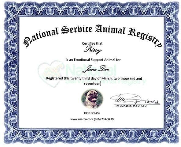 Replacement Service ESA Certificate NSARCO